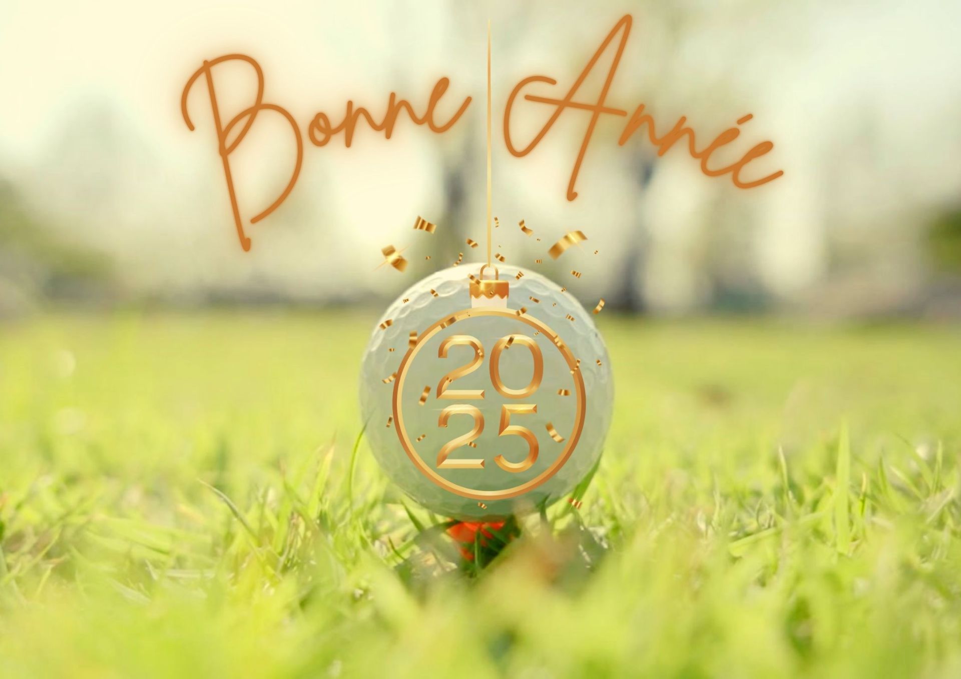 Actualités - Bonne année 2025